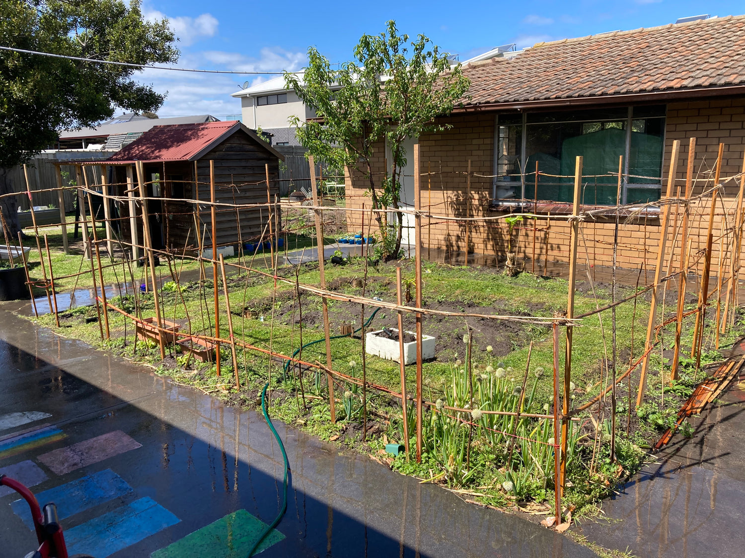 🌱🌼 Exciting Day at Edu-Play Farm Kinder! 🌼🌱 – Edu-Play Early Learning ...